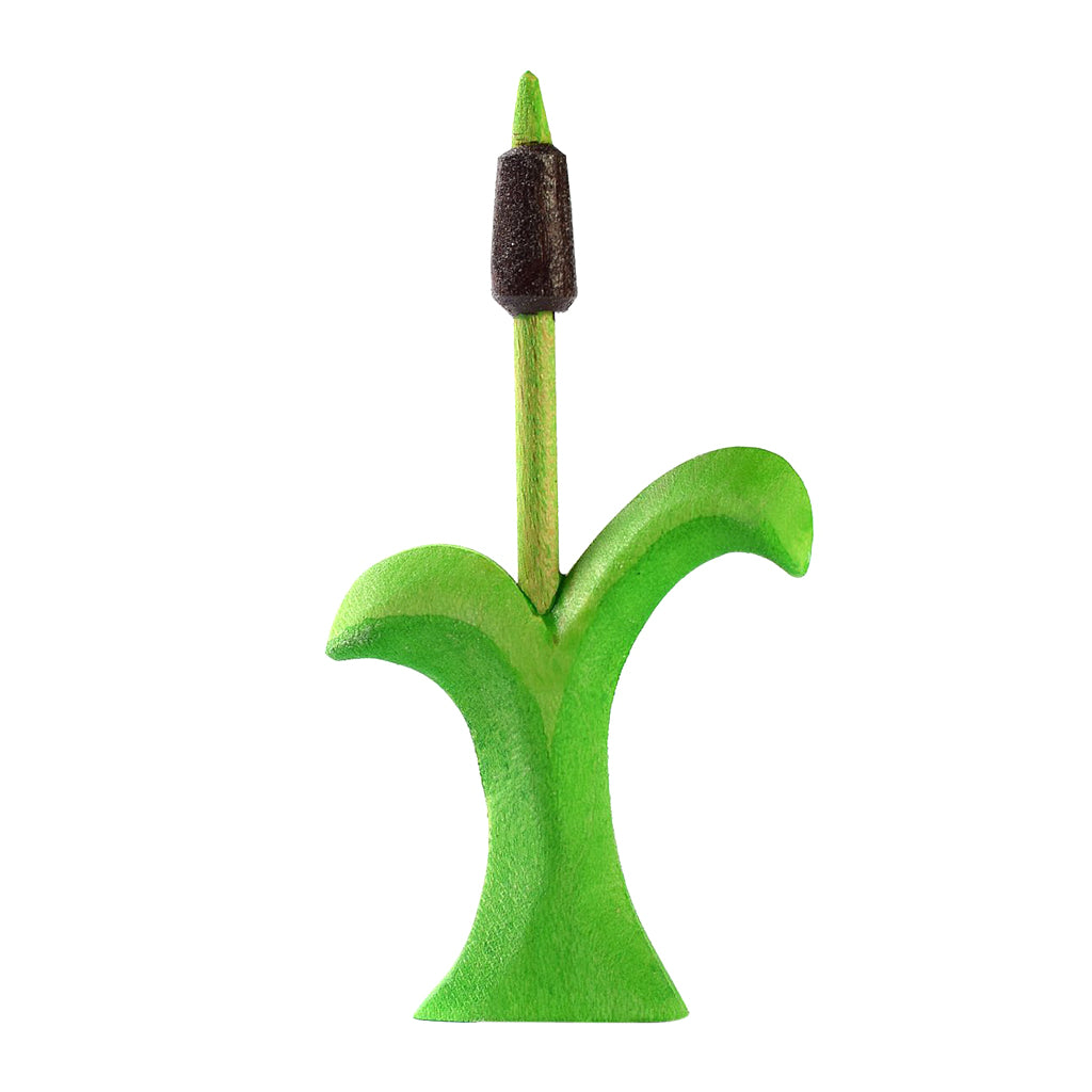 Water Plants For Play | Small World Play | Bumbu Toys Australia